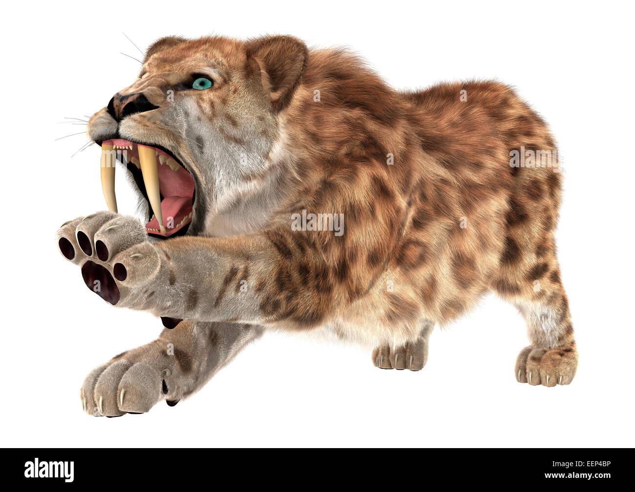 3D render digitale di un aggressivo smilodon o dai denti a sciabola cat ...