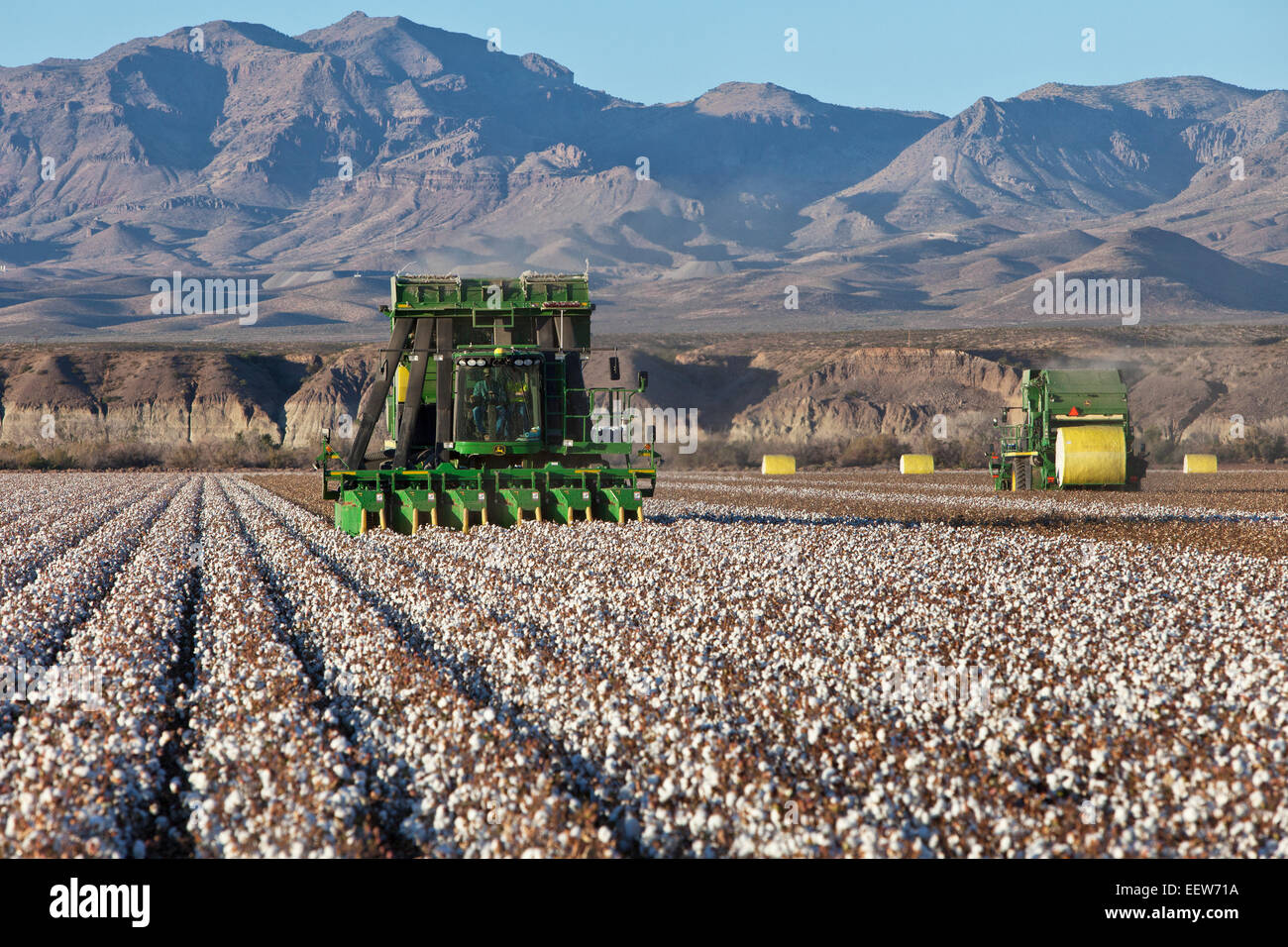 John deere cotton picker immagini e fotografie stock ad alta ...