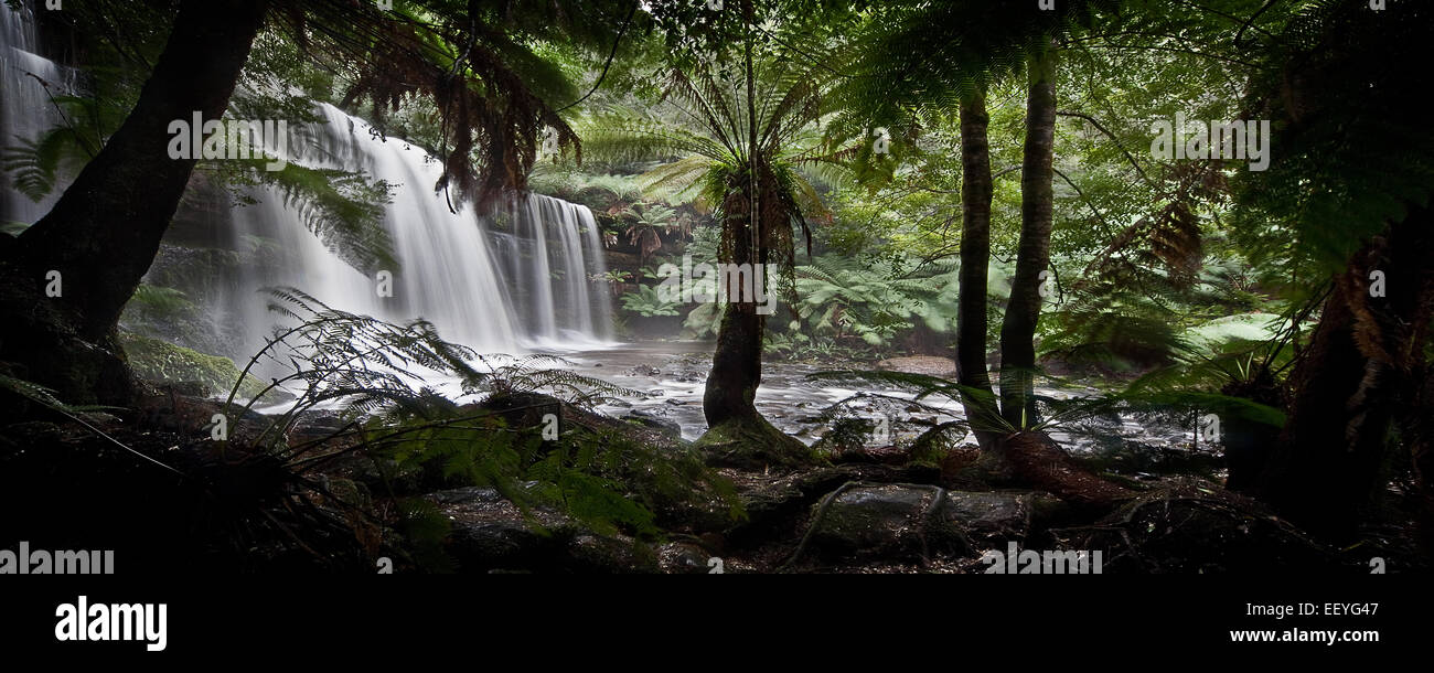 Cascata cascata foresta pluviale lussureggiante immagini e fotografie ...