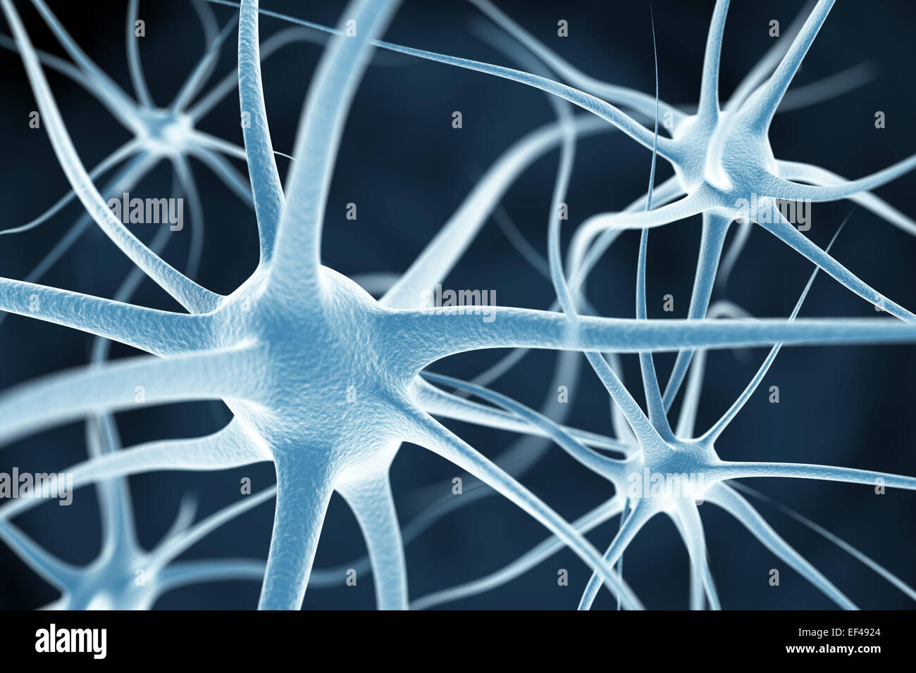 Anatomia delle sinapsi dei neuroni immagini e fotografie stock ad alta ...