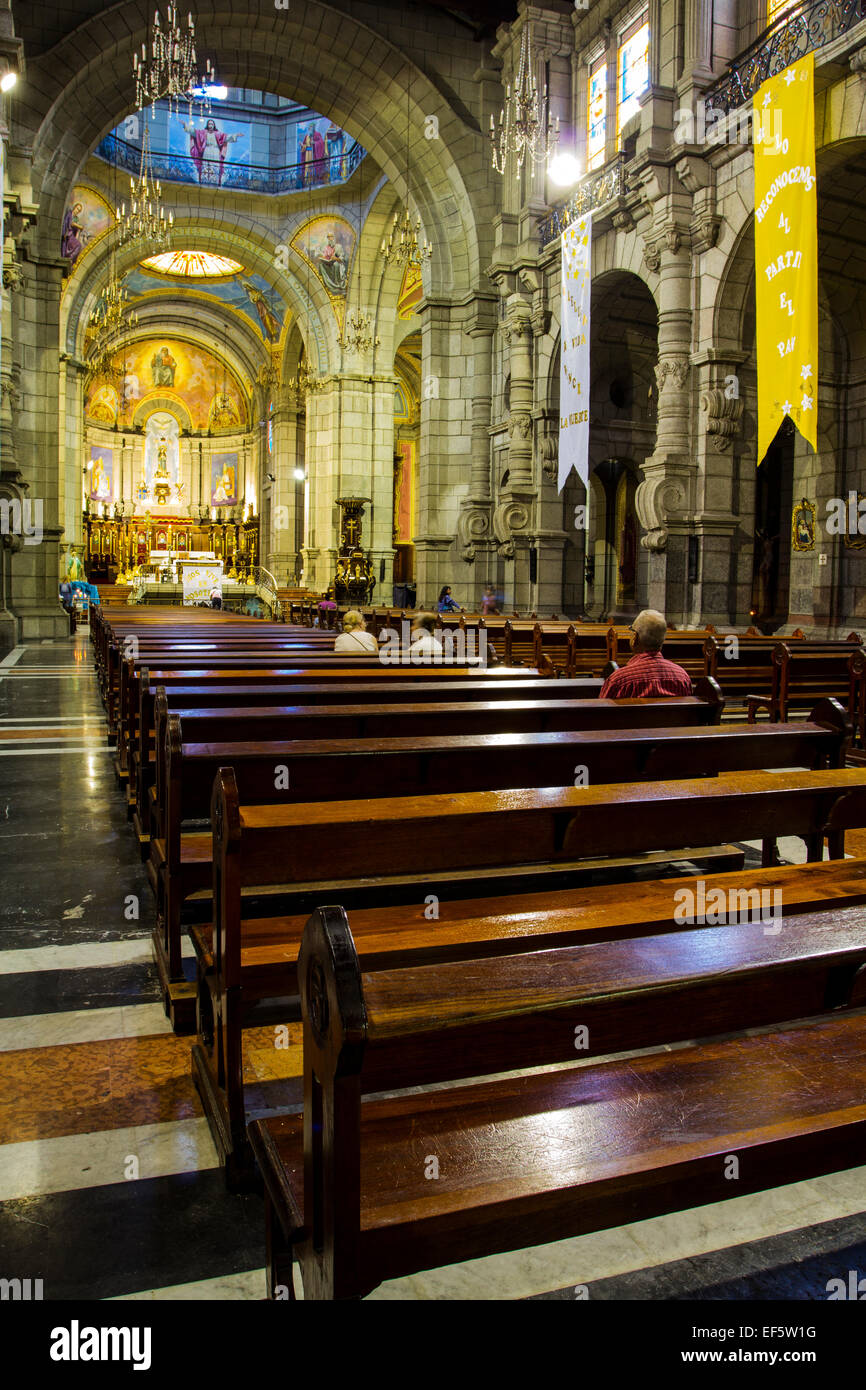 Catedral basilica de la inmaculada concepcion immagini e fotografie ...