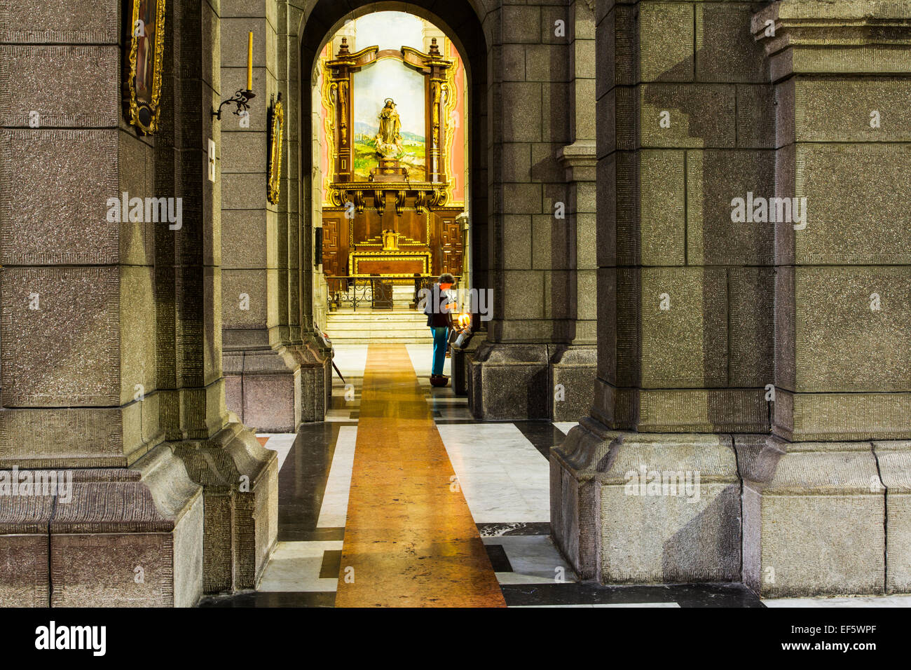 Catedral basilica de la inmaculada concepcion immagini e fotografie ...