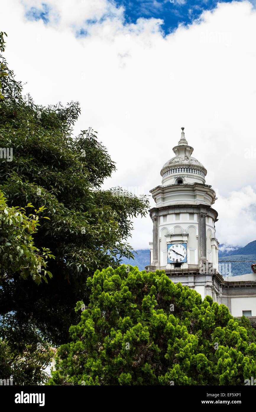 Catedral basilica de la inmaculada concepcion immagini e fotografie ...