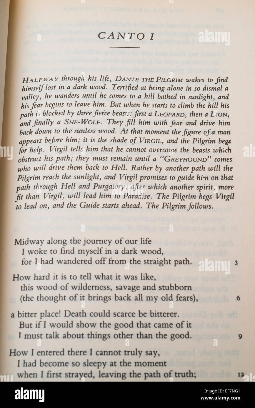 L'inferno Di Dante Immagini & L'inferno Di Dante Fotos Stock - Alamy
