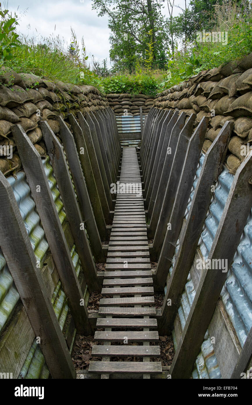 Costruzione delle trincee della prima guerra mondiale immagini e ...