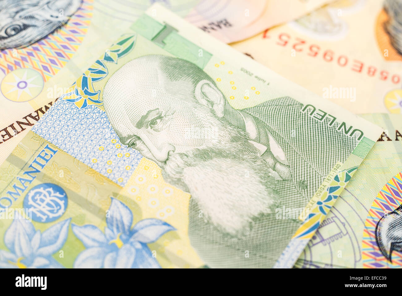 Leu rumeno immagini e fotografie stock ad alta risoluzione - Alamy