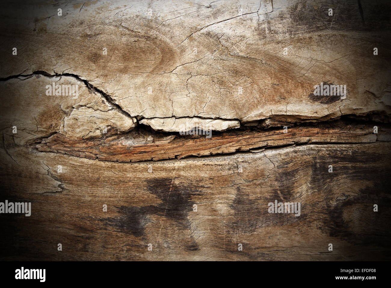 Legno di pioppo immagini e fotografie stock ad alta risoluzione - Alamy