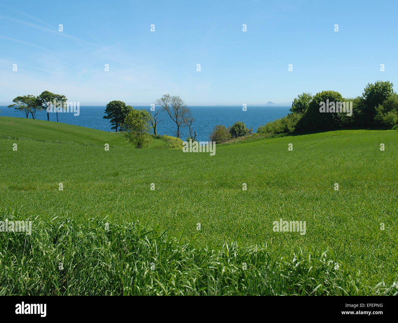 Cielo mare immagini e fotografie stock ad alta risoluzione - Alamy