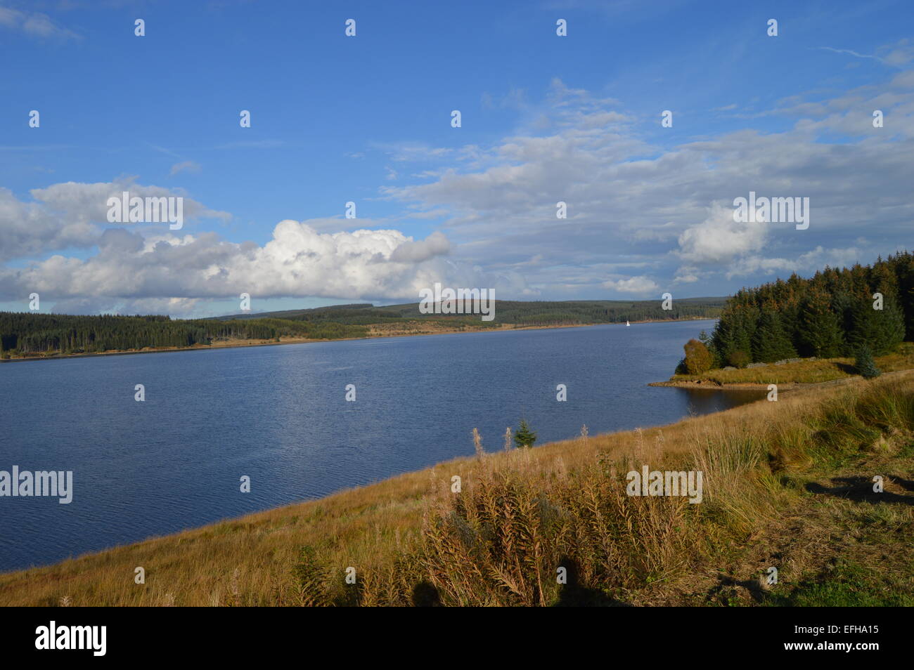 Lago del kielder immagini e fotografie stock ad alta risoluzione - Alamy
