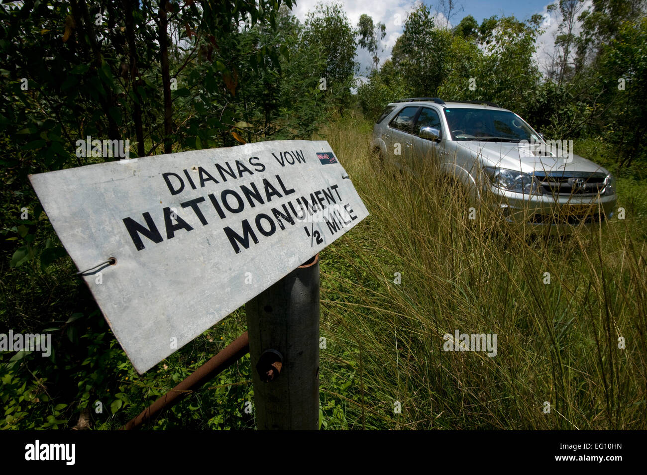 Diana's voto dipinti rupestri del Mashonaland Zimbabwe busman dipinti ...