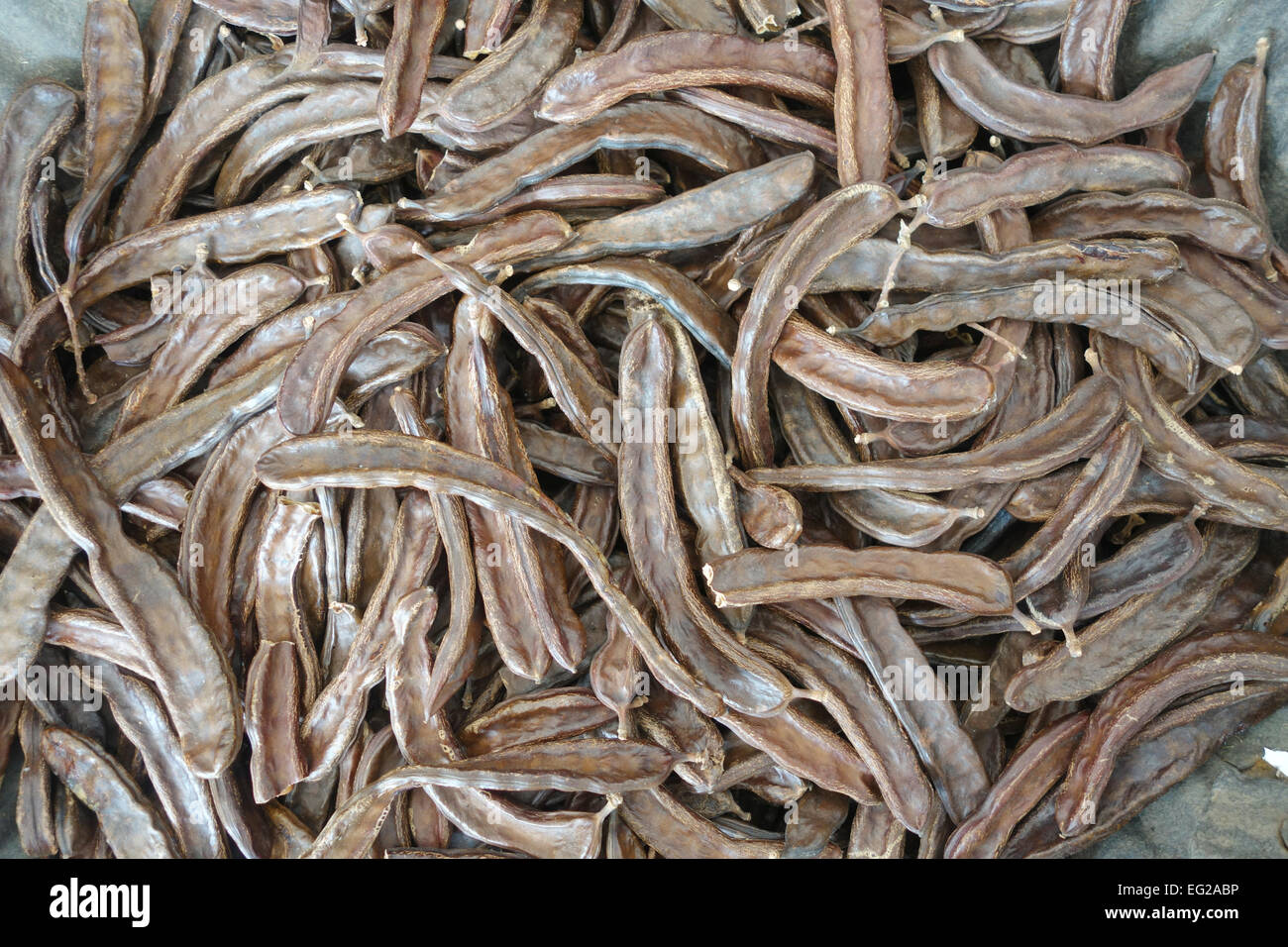 Albero di carrube immagini e fotografie stock ad alta risoluzione - Alamy