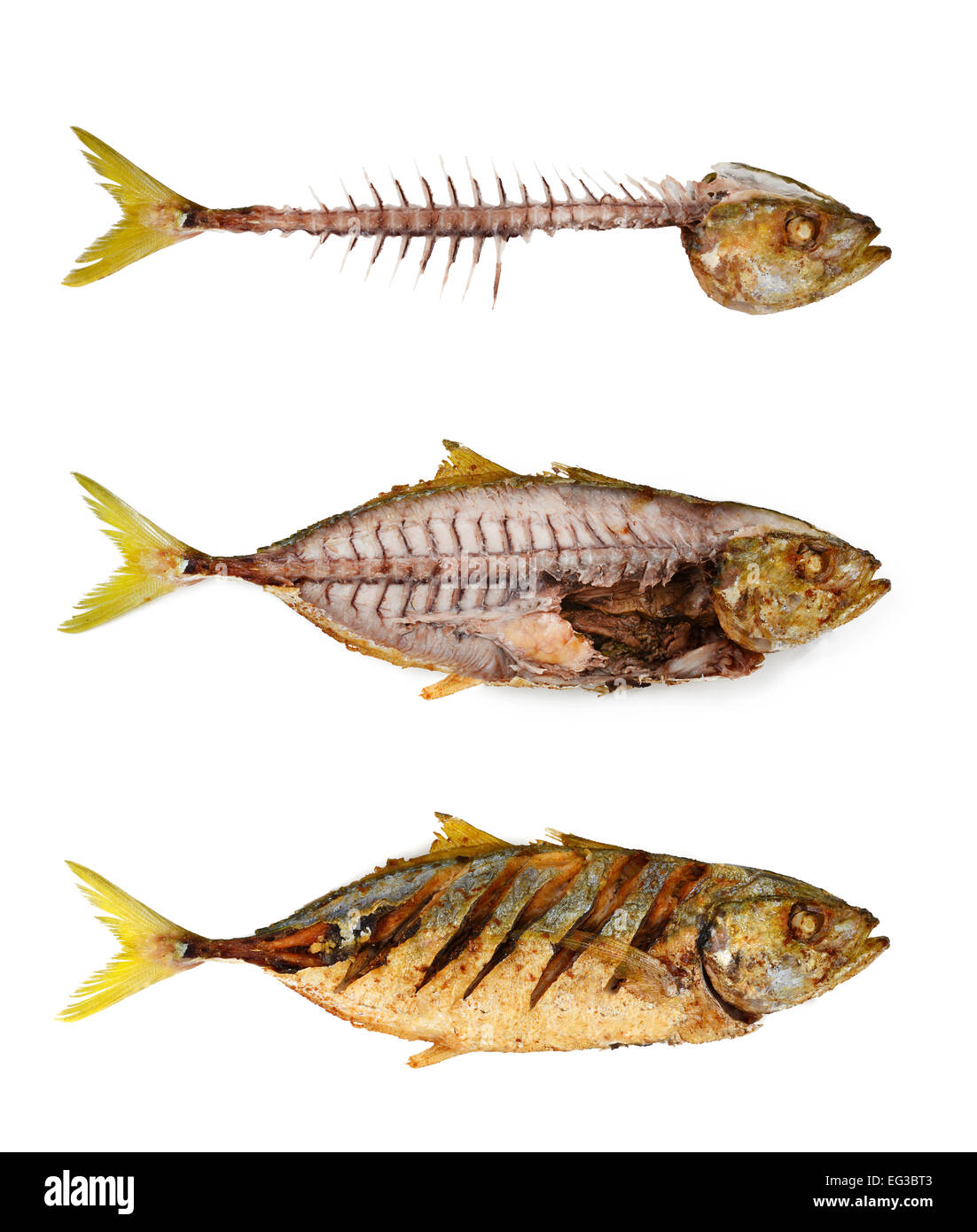 Mangiare lisca di pesce immagini e fotografie stock ad alta risoluzione ...