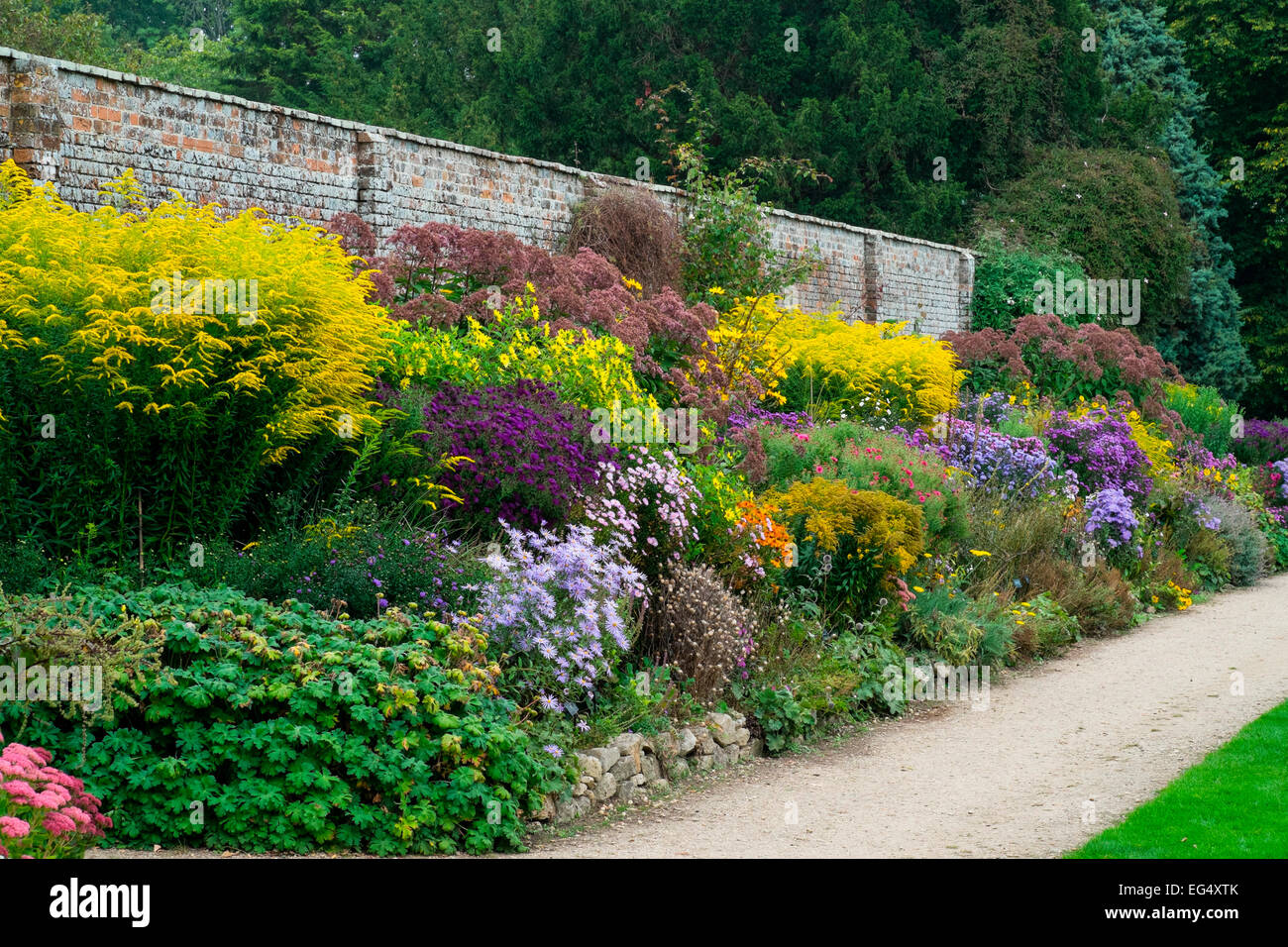 Varietà di piante da fiore e arbusti in piante erbacee frontiera presso ...