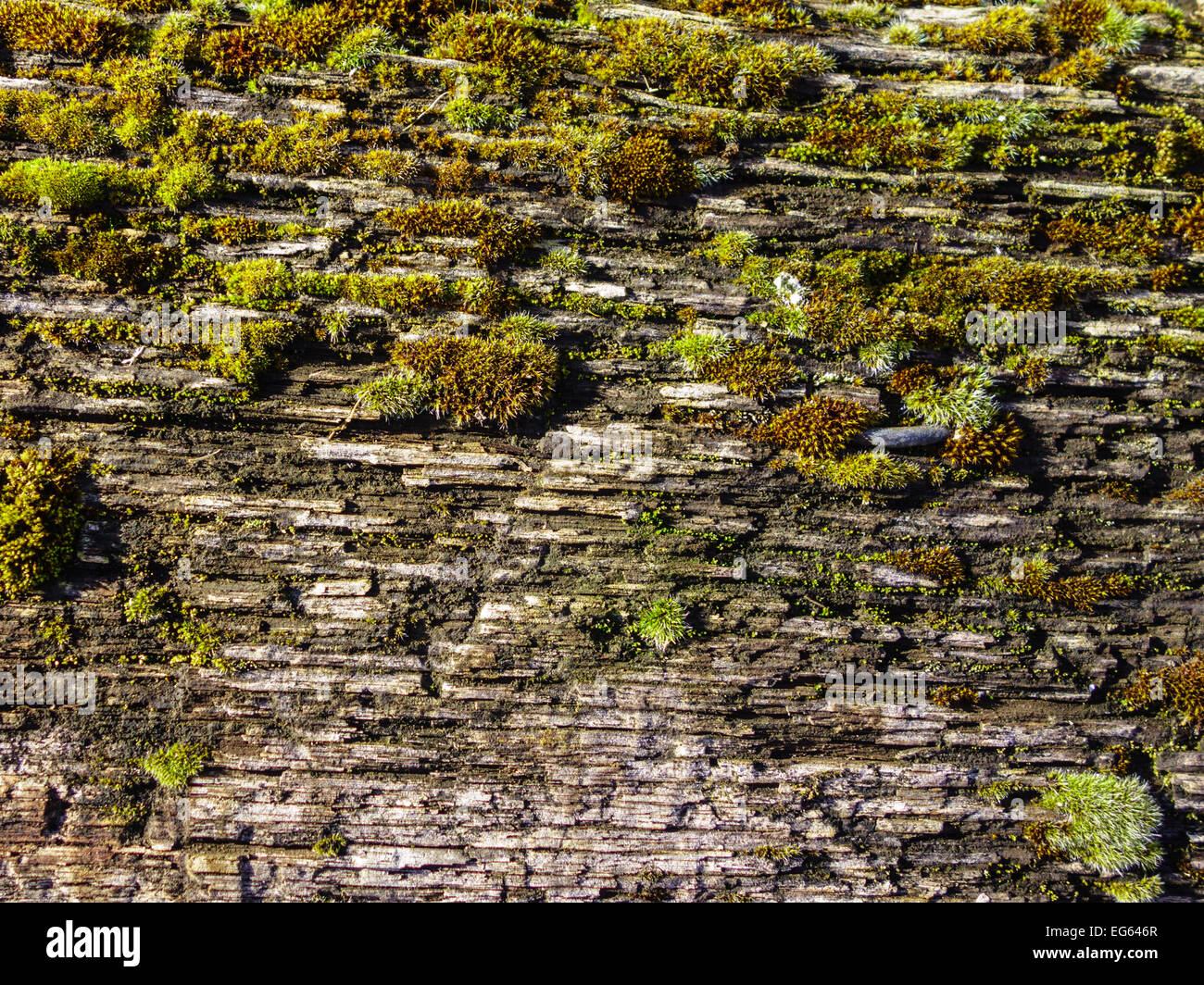 Railway sleeper texture immagini e fotografie stock ad alta risoluzione ...