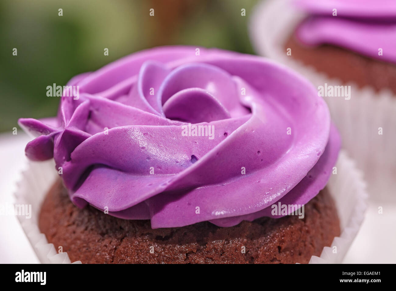 Cafe magenta immagini e fotografie stock ad alta risoluzione - Alamy