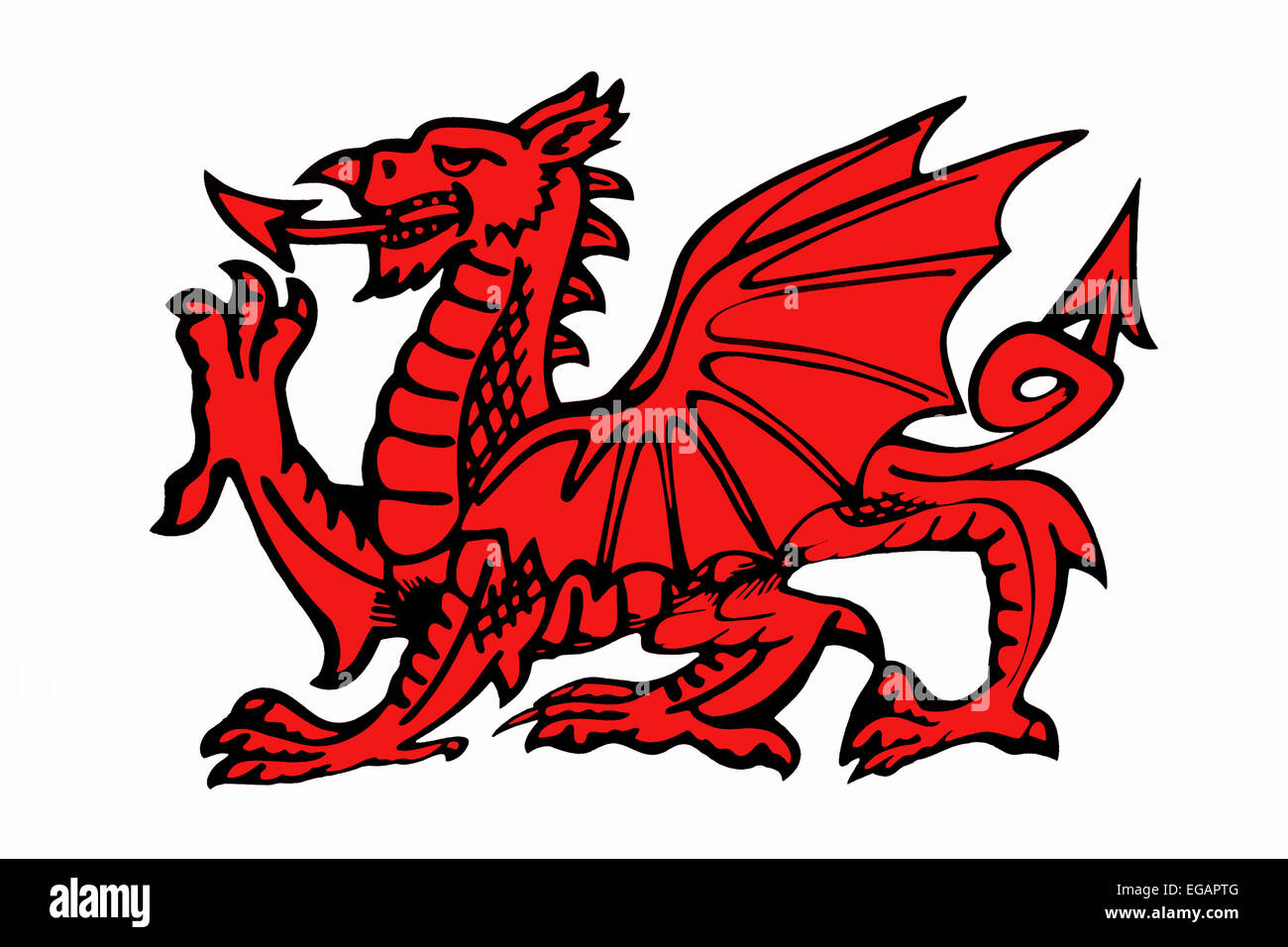 Il drago rosso del Galles Foto stock - Alamy