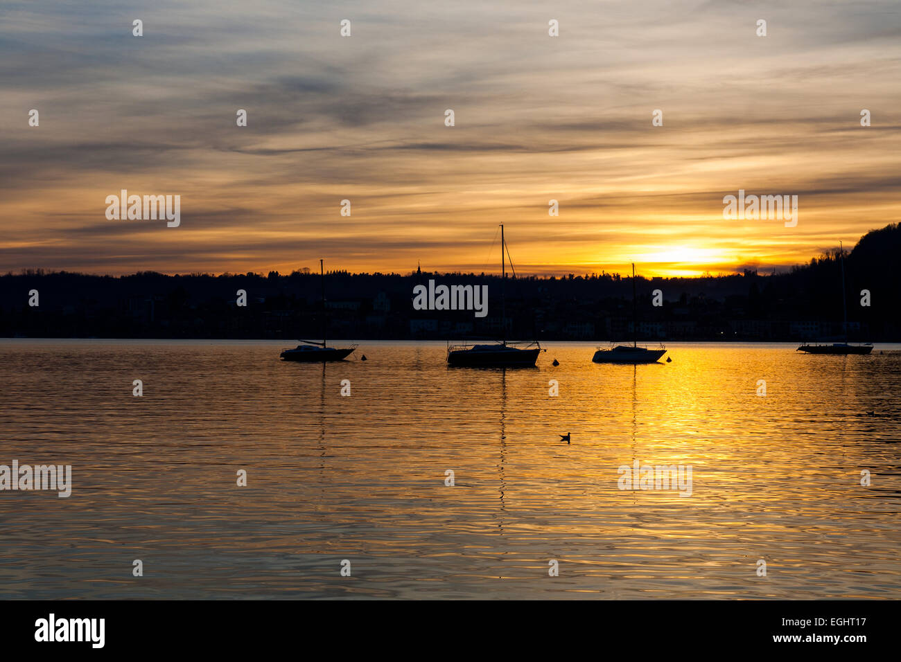 Parco lacustre lago maggiore immagini e fotografie stock ad alta ...
