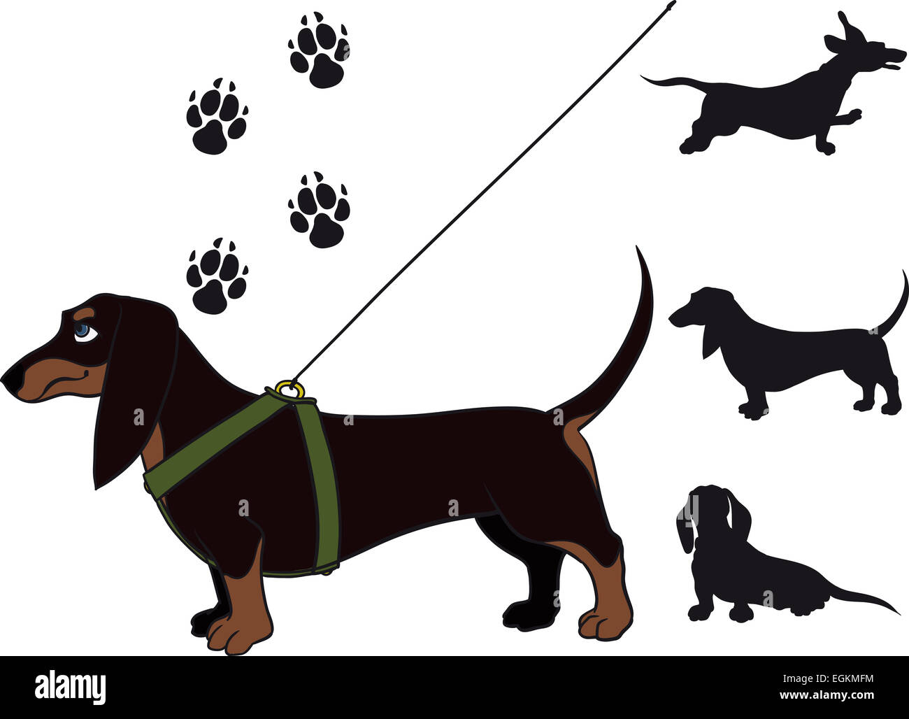 Cane bassotto disegno immagini e fotografie stock ad alta risoluzione ...