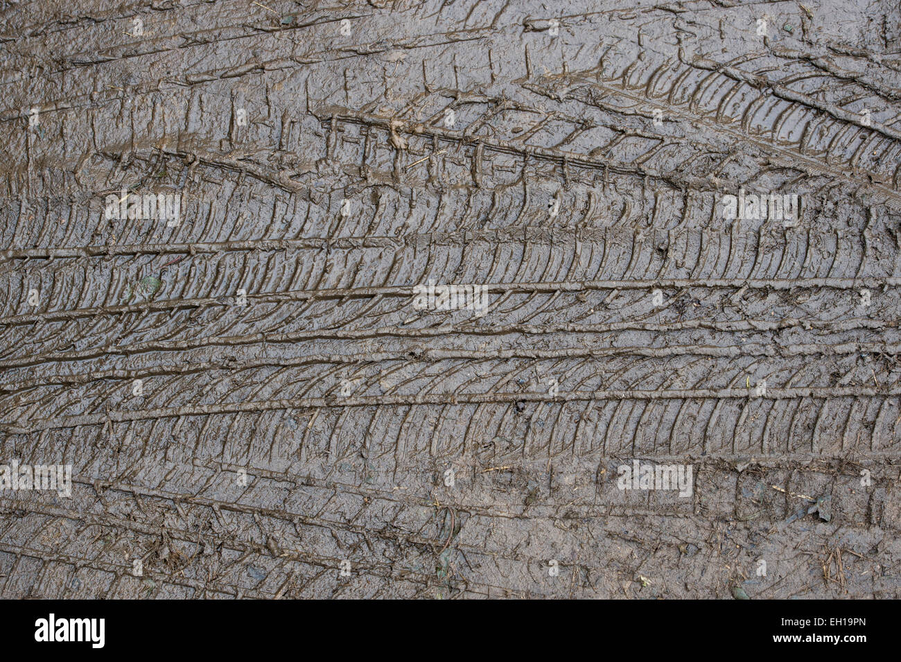 Pista sterrata fangosa immagini e fotografie stock ad alta risoluzione ...