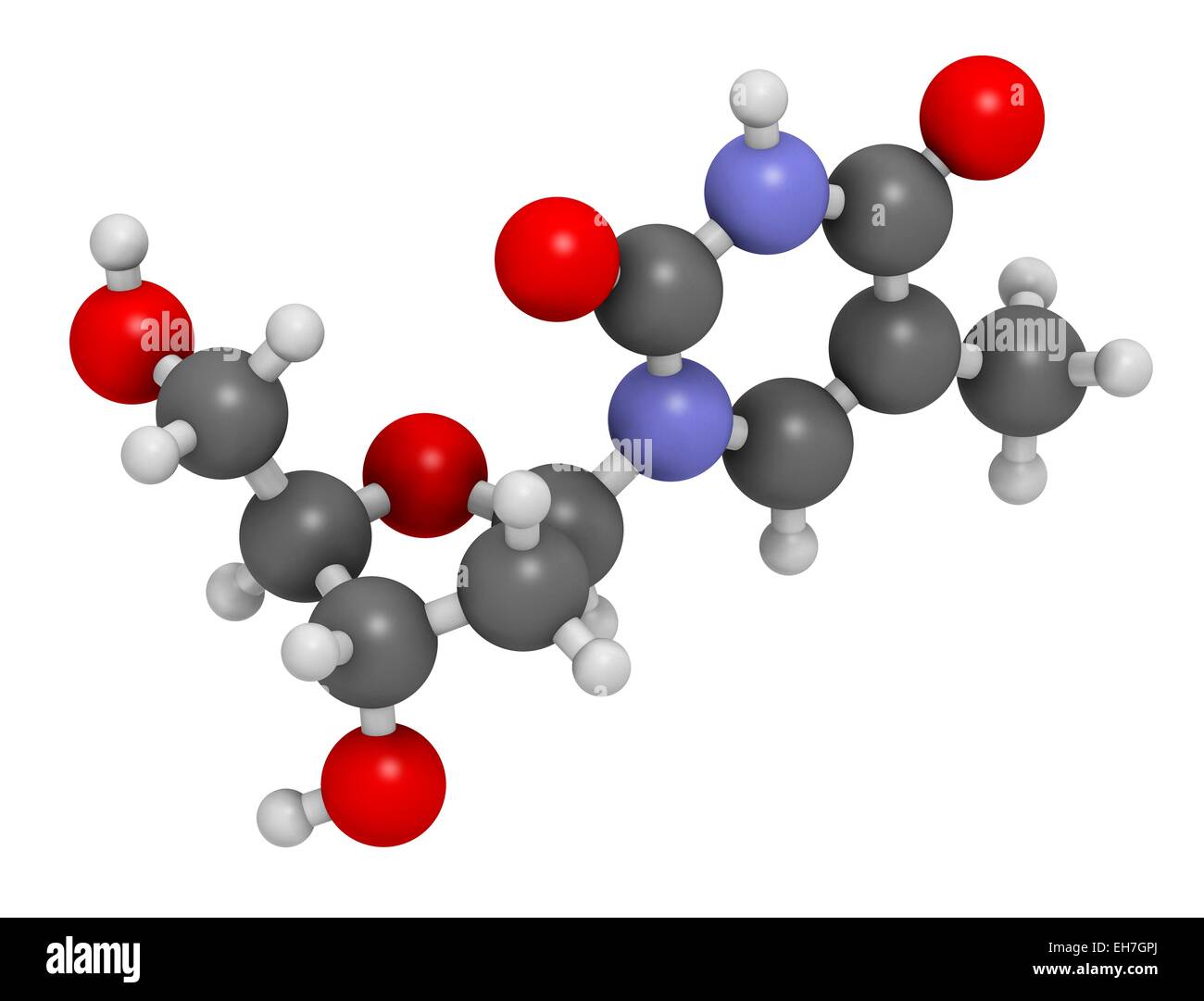 Timidina trifosfato immagini e fotografie stock ad alta risoluzione - Alamy