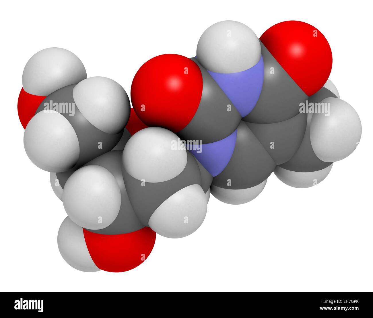 Timidina trifosfato immagini e fotografie stock ad alta risoluzione - Alamy