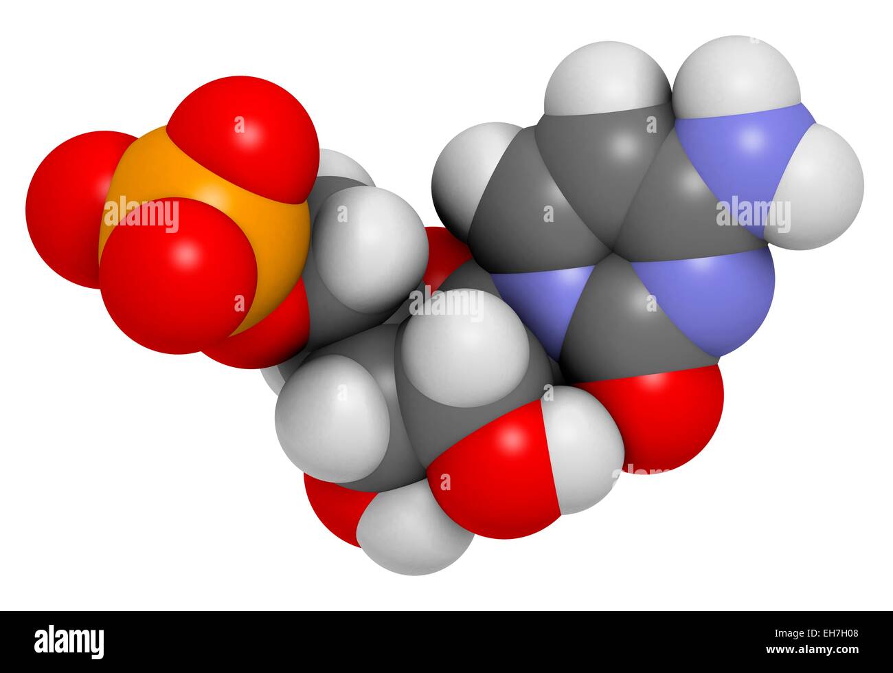 Molecola di rna citidina trifosfato immagini e fotografie stock ad alta ...