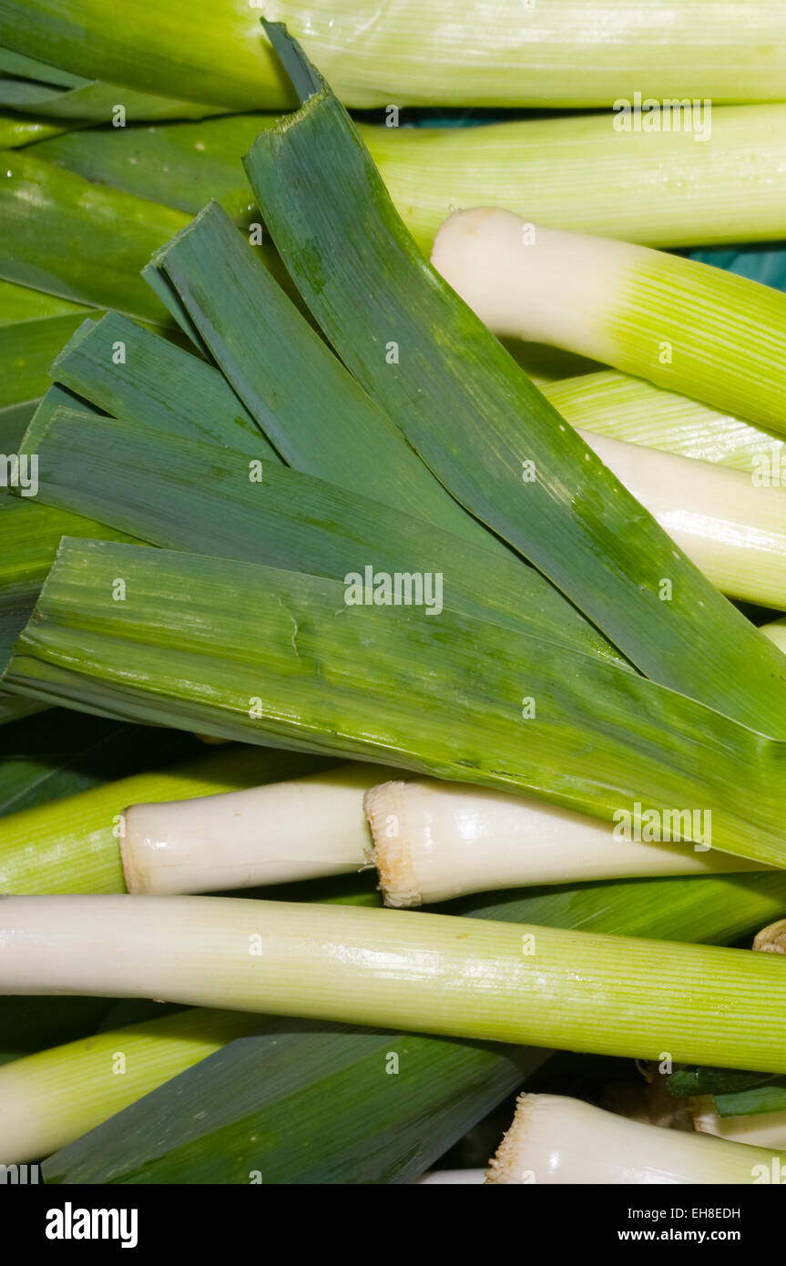 Porri freschi immagini e fotografie stock ad alta risoluzione - Alamy