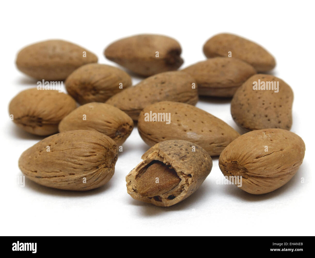 Prunus fruticosa immagini e fotografie stock ad alta risoluzione - Alamy