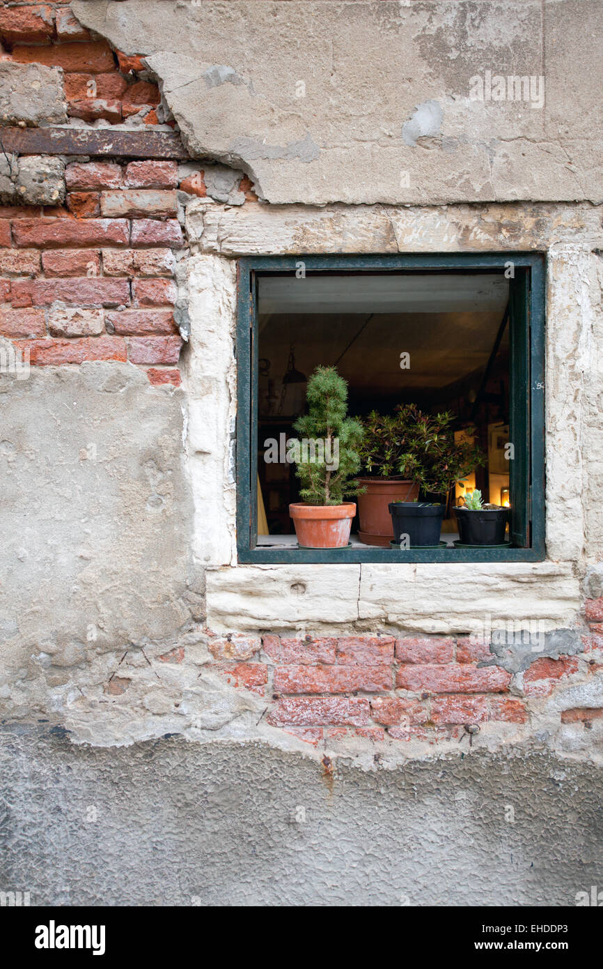 Mura del canale di venezia immagini e fotografie stock ad alta risoluzione - Alamy