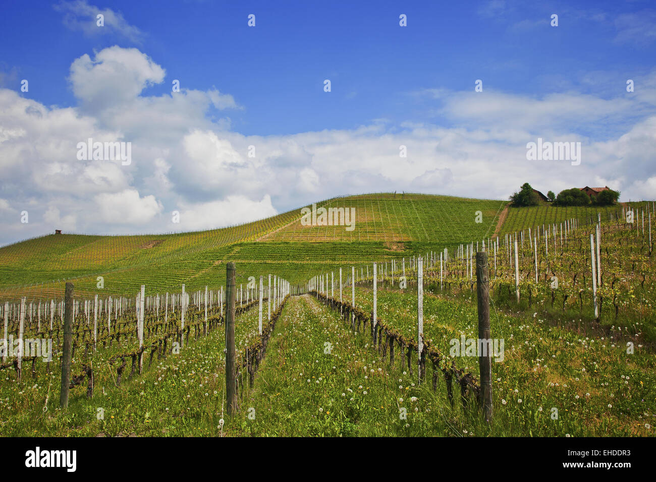 Paesaggi piemonte immagini e fotografie stock ad alta risoluzione - Alamy