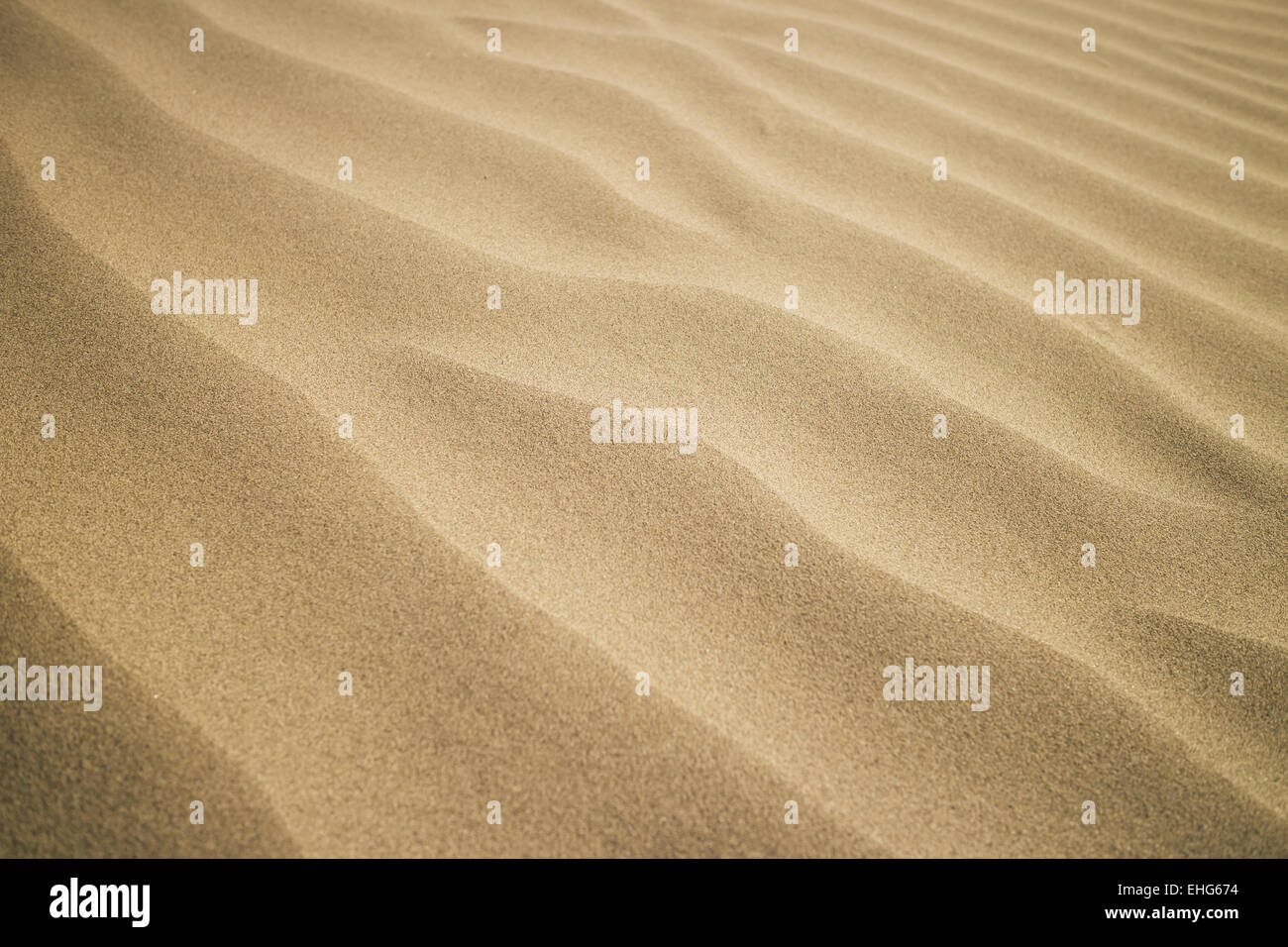 Fondo di struttura della sabbia immagini e fotografie stock ad alta ...