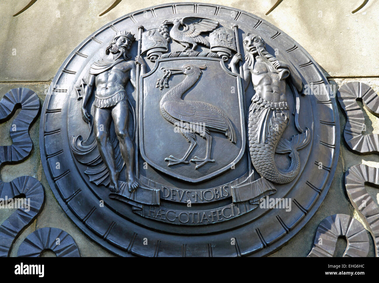 Sirena uccello immagini e fotografie stock ad alta risoluzione - Alamy
