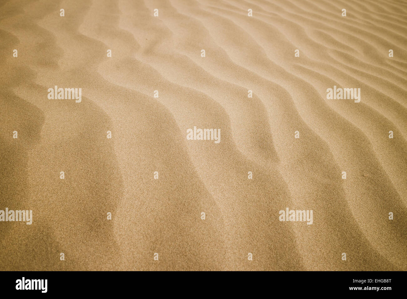 Fondo di struttura della sabbia immagini e fotografie stock ad alta ...