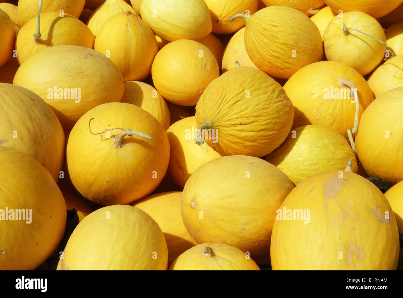 Meloni gialli immagini e fotografie stock ad alta risoluzione - Alamy