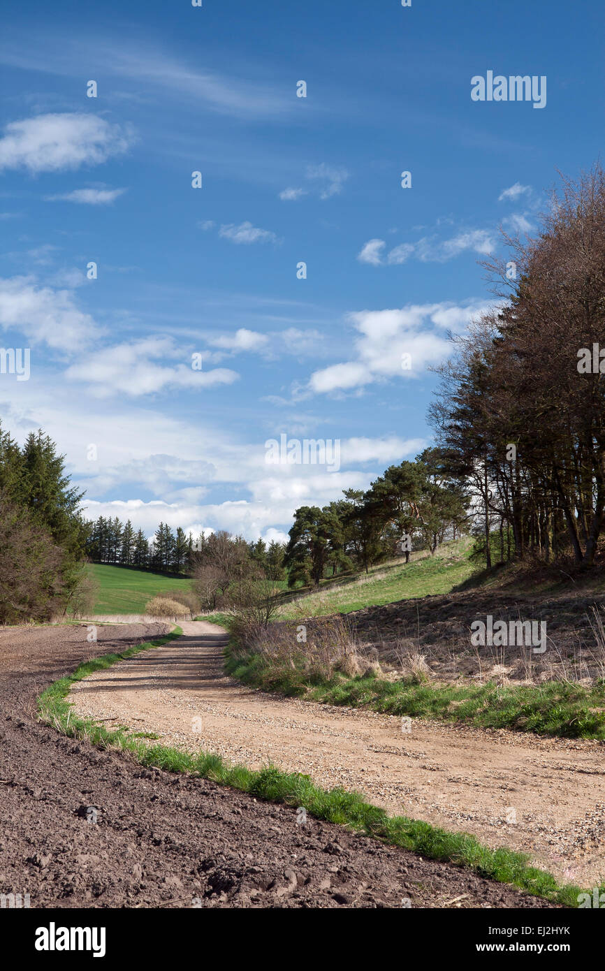 Alberi curvi immagini e fotografie stock ad alta risoluzione - Alamy