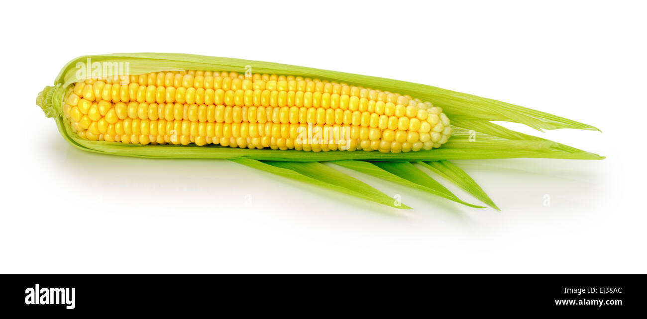 Spiga di grano immagini e fotografie stock ad alta risoluzione - Alamy