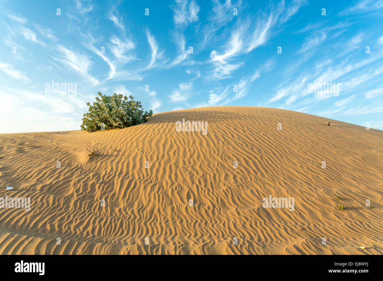 Arido arido arido immagini e fotografie stock ad alta risoluzione - Alamy