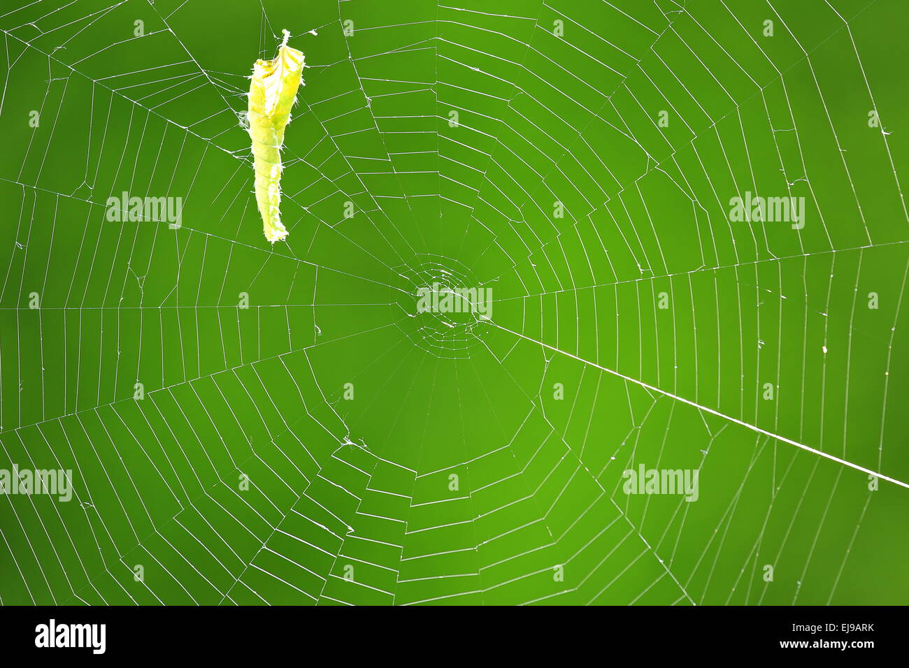 Ragno meccanico immagini e fotografie stock ad alta risoluzione - Alamy