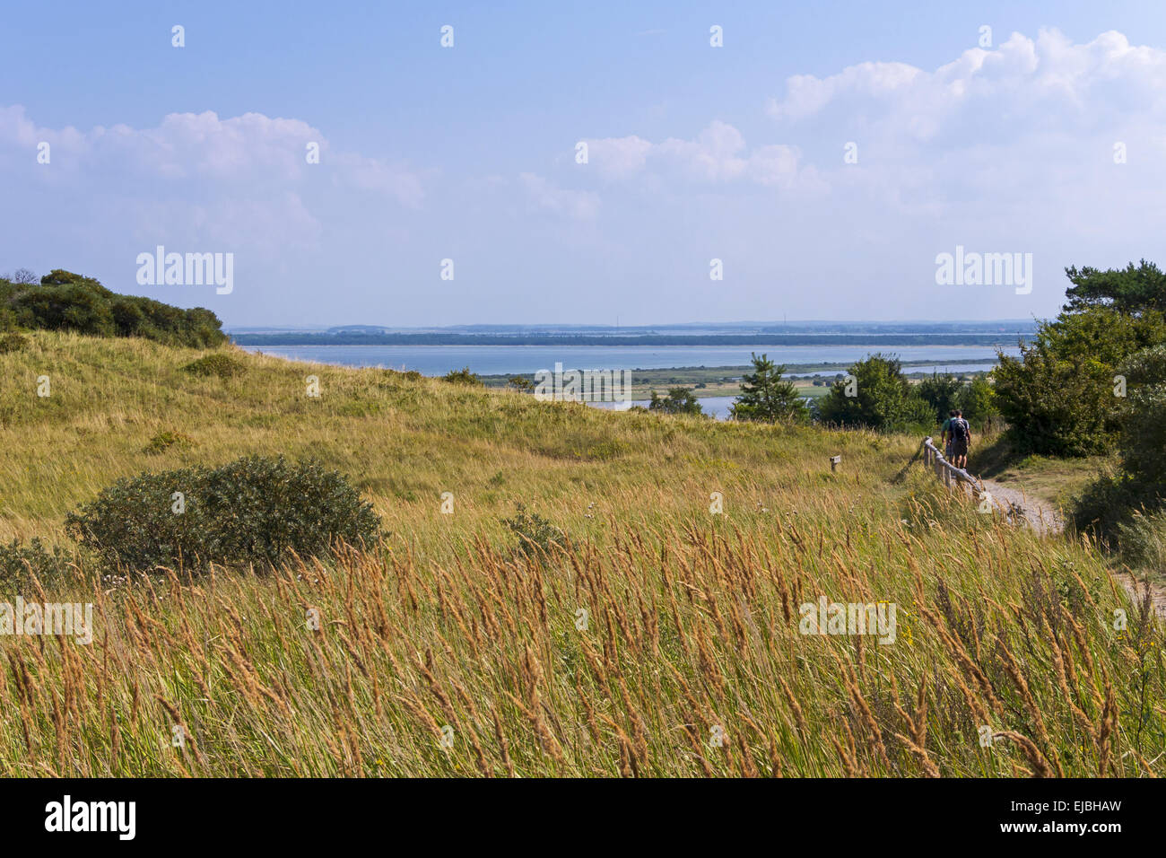 Ostseeinsel hiddensee immagini e fotografie stock ad alta risoluzione ...