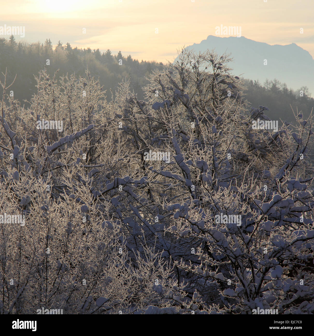 Mountain traunstein immagini e fotografie stock ad alta risoluzione - Alamy