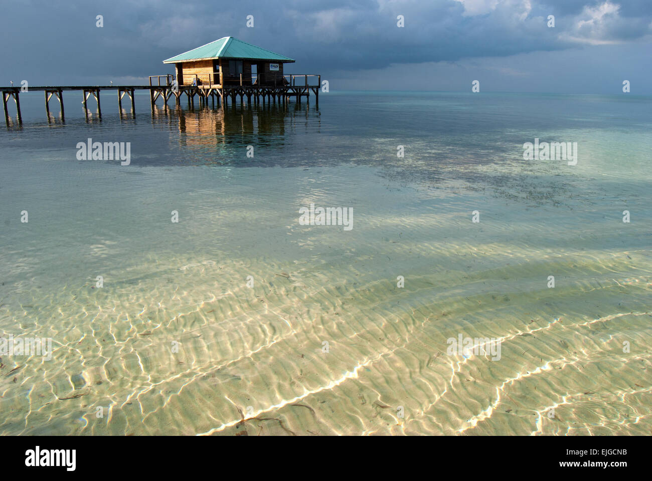 Come i caraibi immagini e fotografie stock ad alta risoluzione - Alamy
