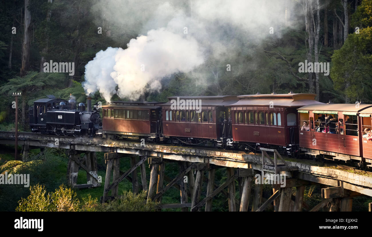 Puffing billy railway trestle bridge immagini e fotografie stock ad ...