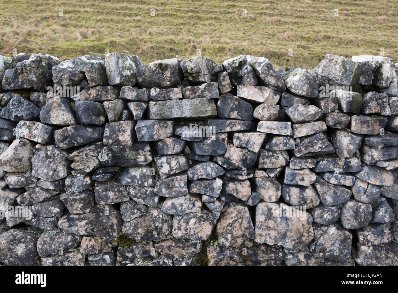 Calcare muri in pietra a secco nel Yorkshire Dales , REGNO UNITO Foto ...