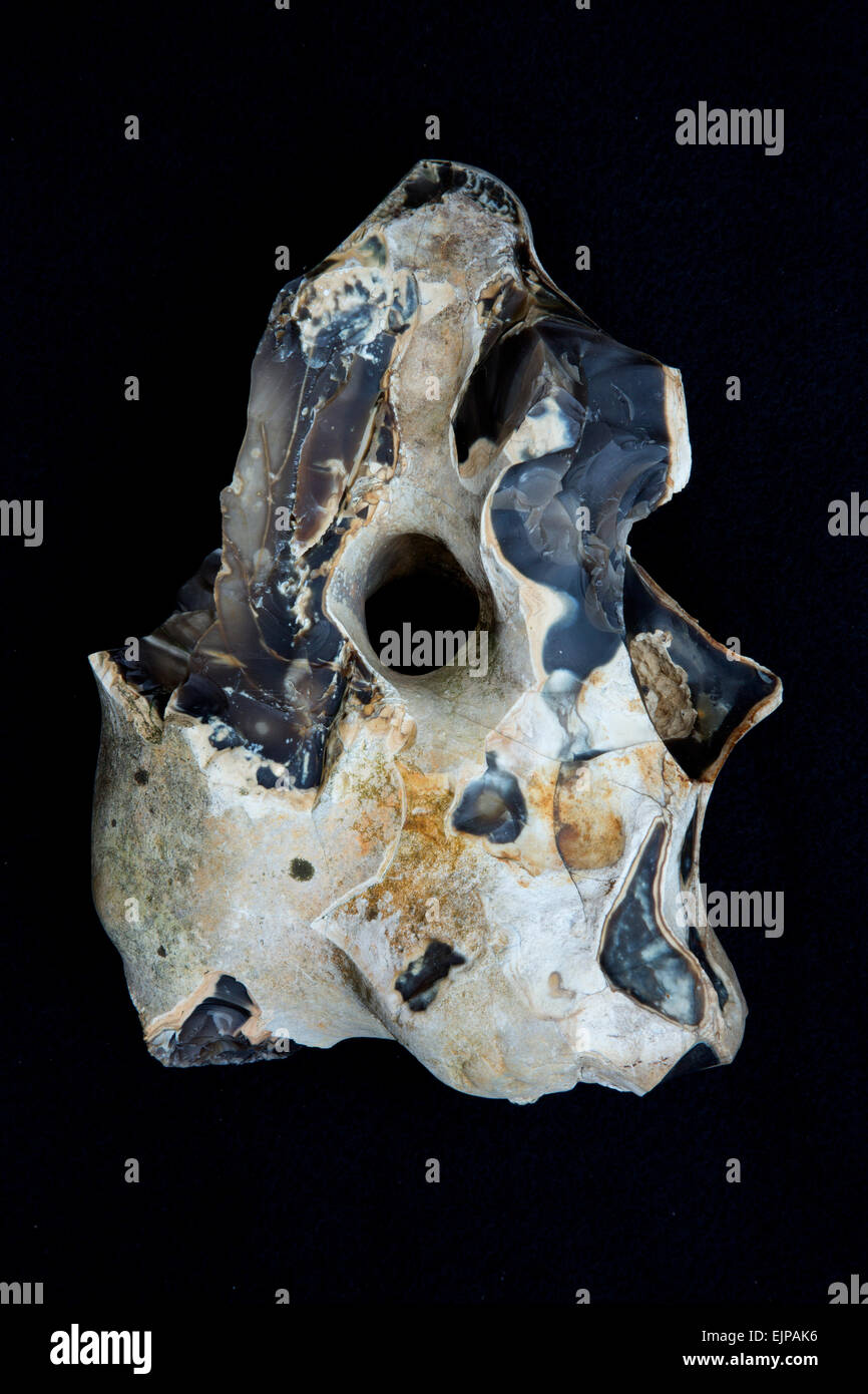 Nodulo di roccia immagini e fotografie stock ad alta risoluzione - Alamy