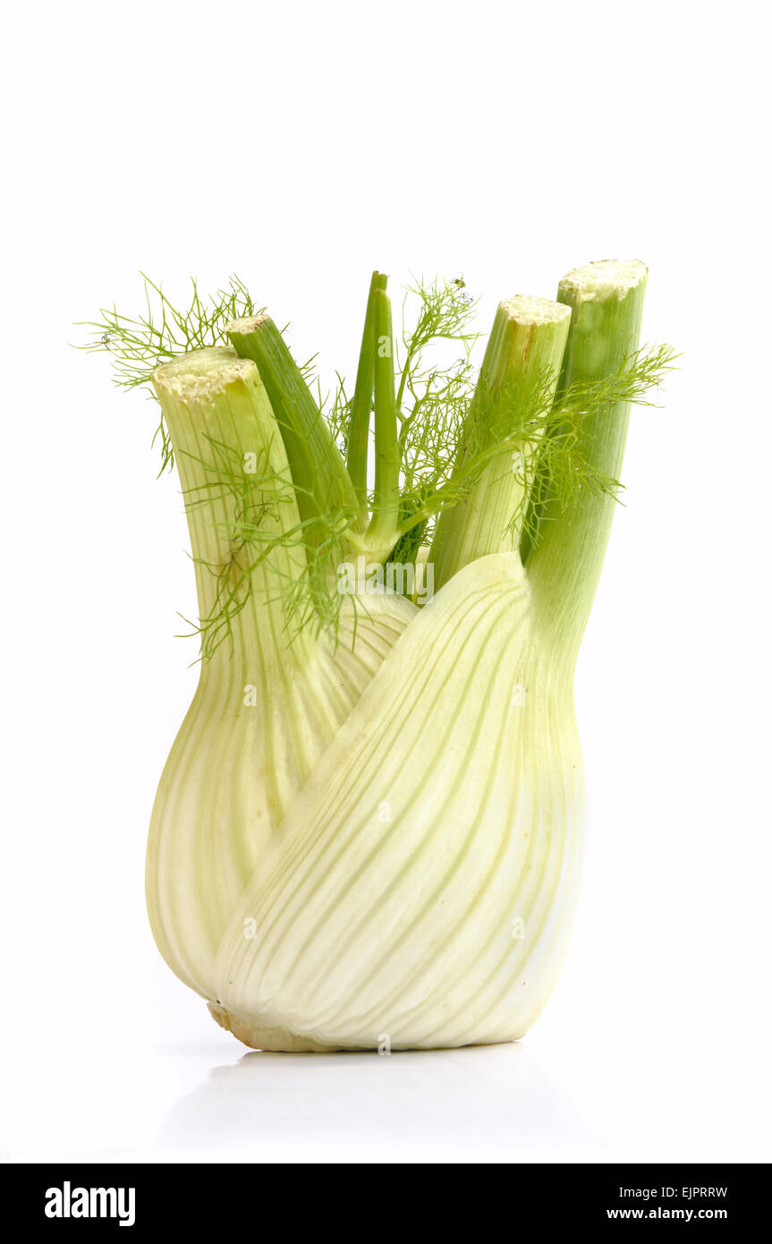 Finocchio crudo immagini e fotografie stock ad alta risoluzione - Alamy