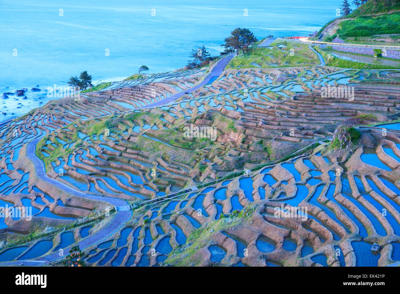 Japanese rice terraces immagini e fotografie stock ad alta risoluzione ...