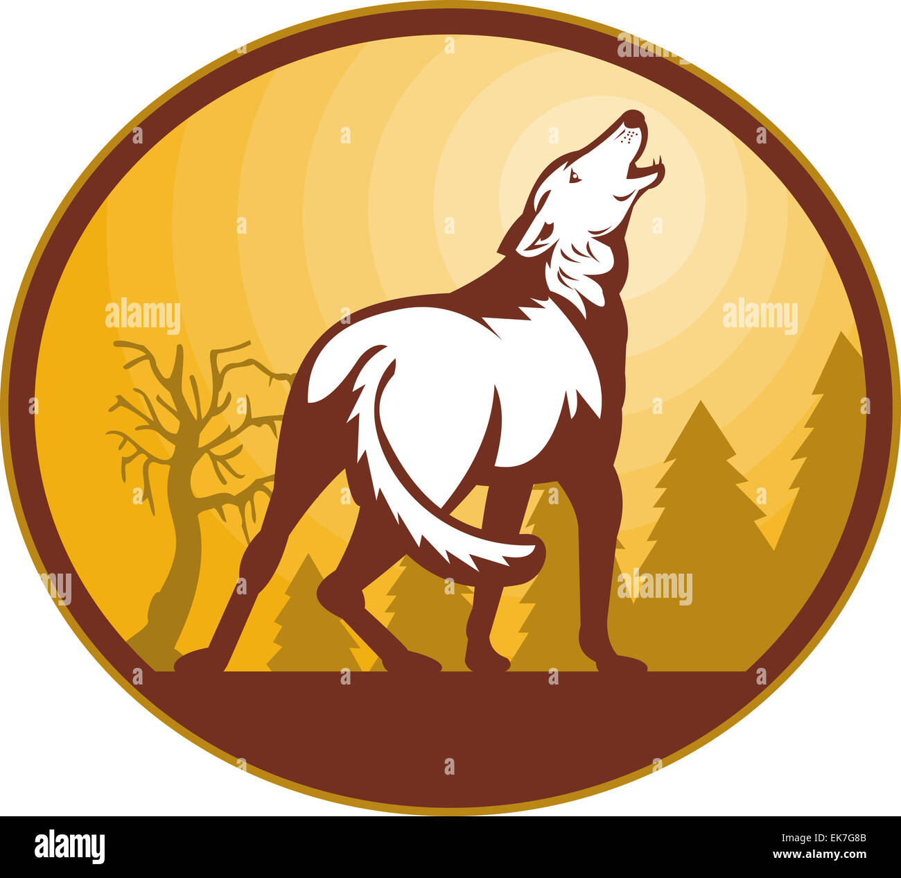 Lupo che ulula alla luna piena immagini e fotografie stock ad alta ...