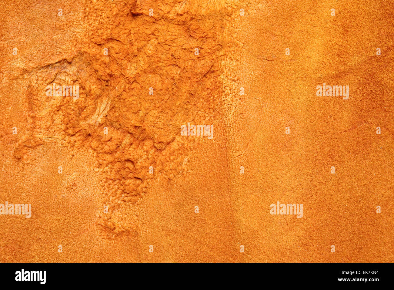 Leathery texture immagini e fotografie stock ad alta risoluzione - Alamy