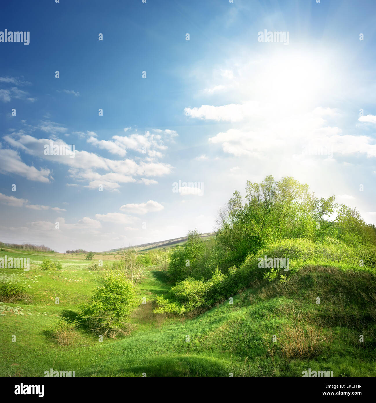 Concetto di burrone immagini e fotografie stock ad alta risoluzione - Alamy