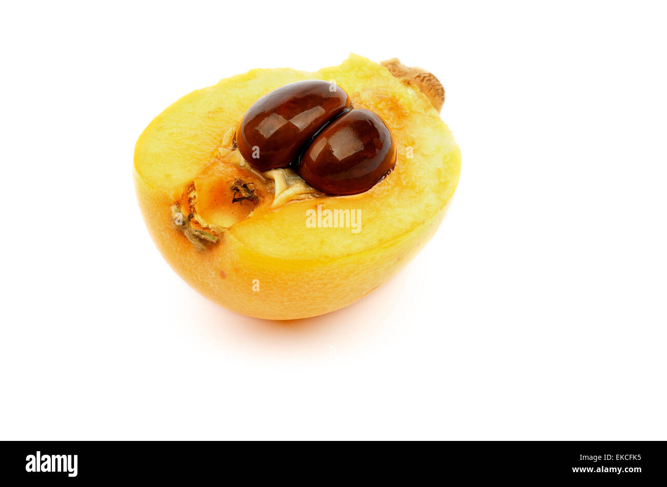 Frutto di nespolo Immagini senza sfondo e Foto Stock ritagliate - Alamy